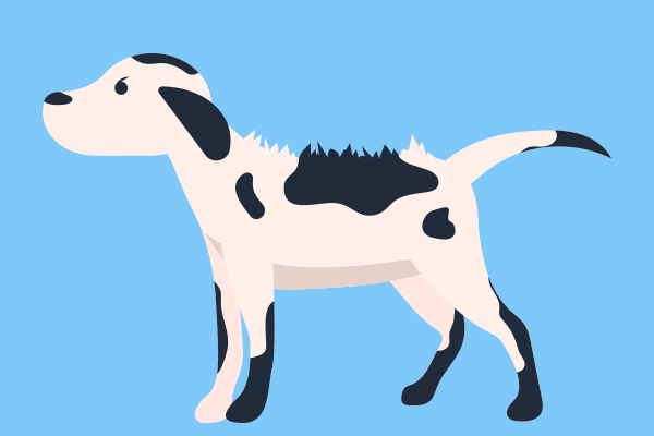 Dog Body Language - Sydney Pet Doors