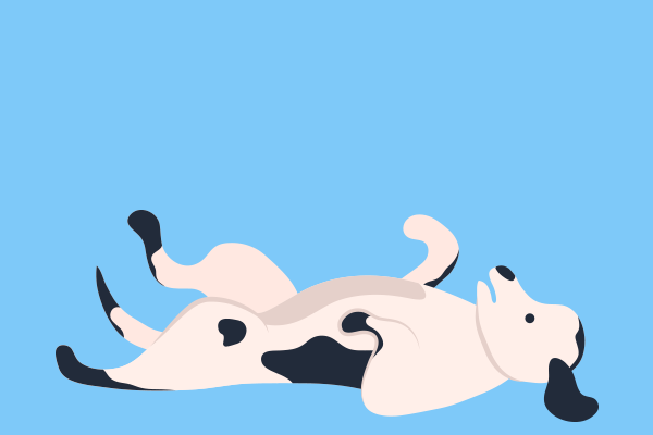 Dog Body Language - Sydney Pet Doors