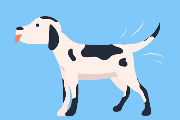 Dog Body Language - Sydney Pet Doors